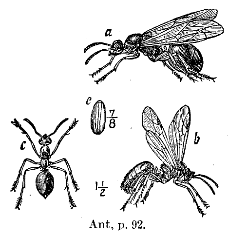 Untitled [srufaculty.sru.edu]