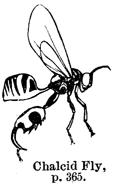 Untitled [srufaculty.sru.edu]